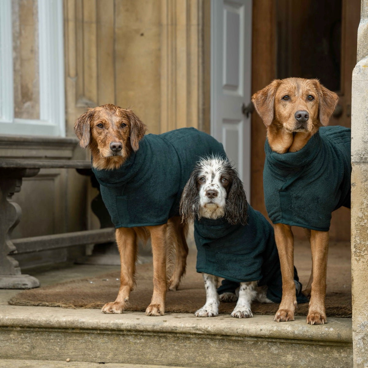 Ruff and Tumble – William Powell