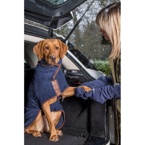 Ruff and Tumble – William Powell